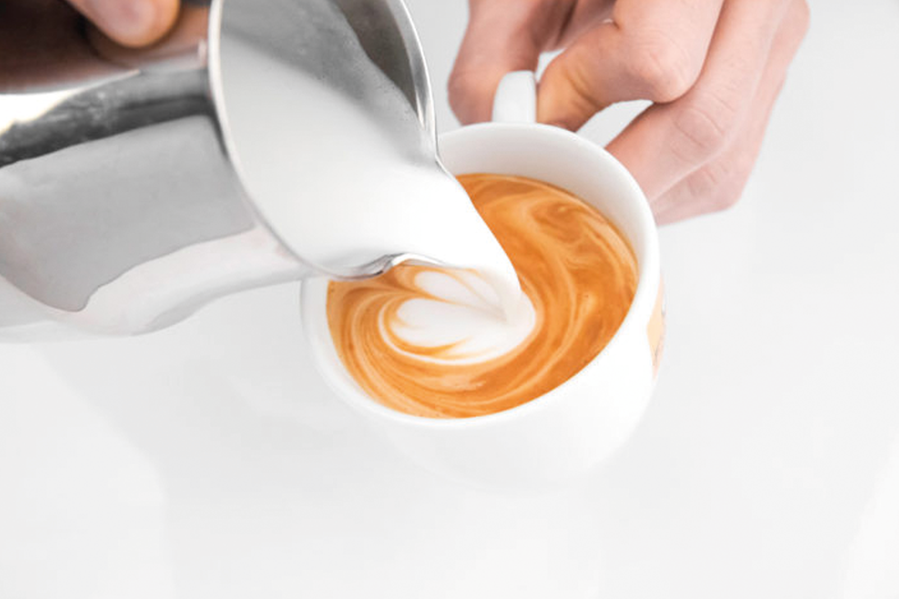 How to foam cow’s milk and vegan milk – Filicori Zecchini USA