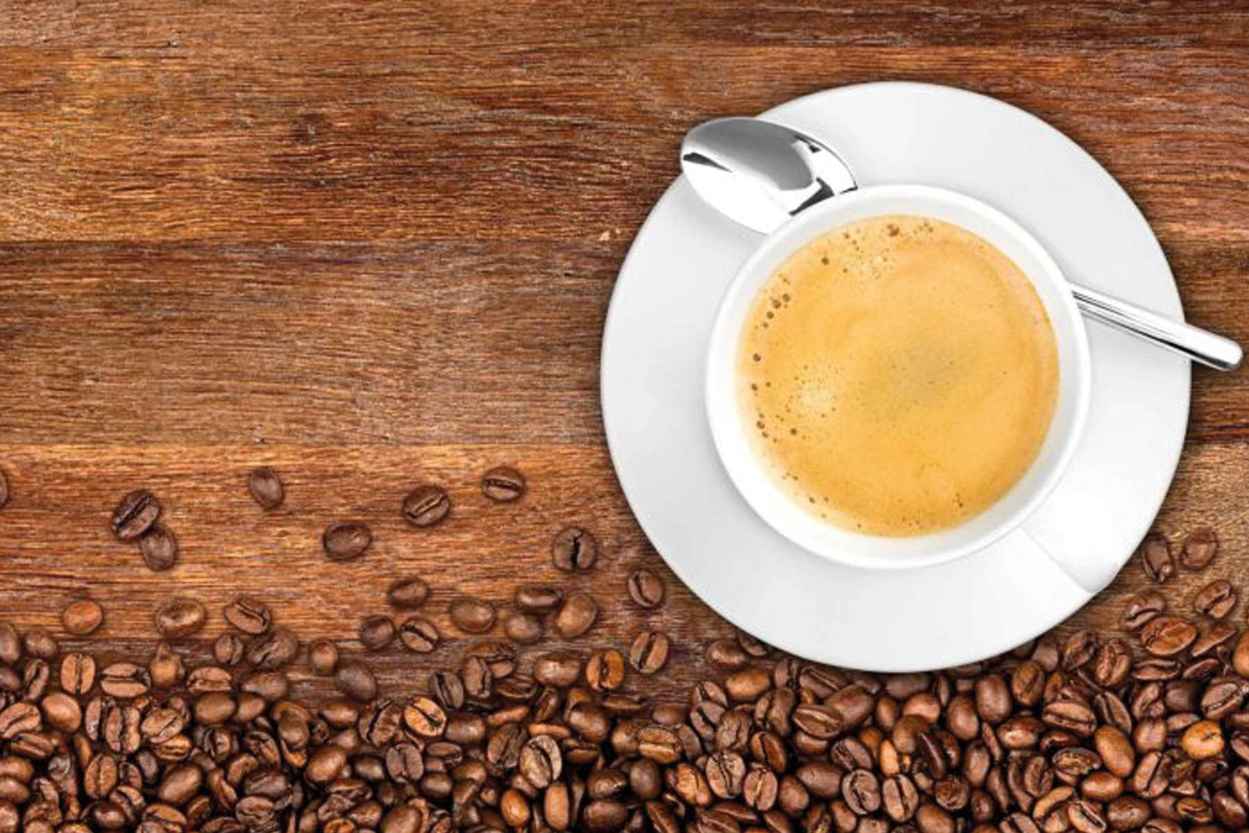 The curious story of the coffee cup – Filicori Zecchini USA